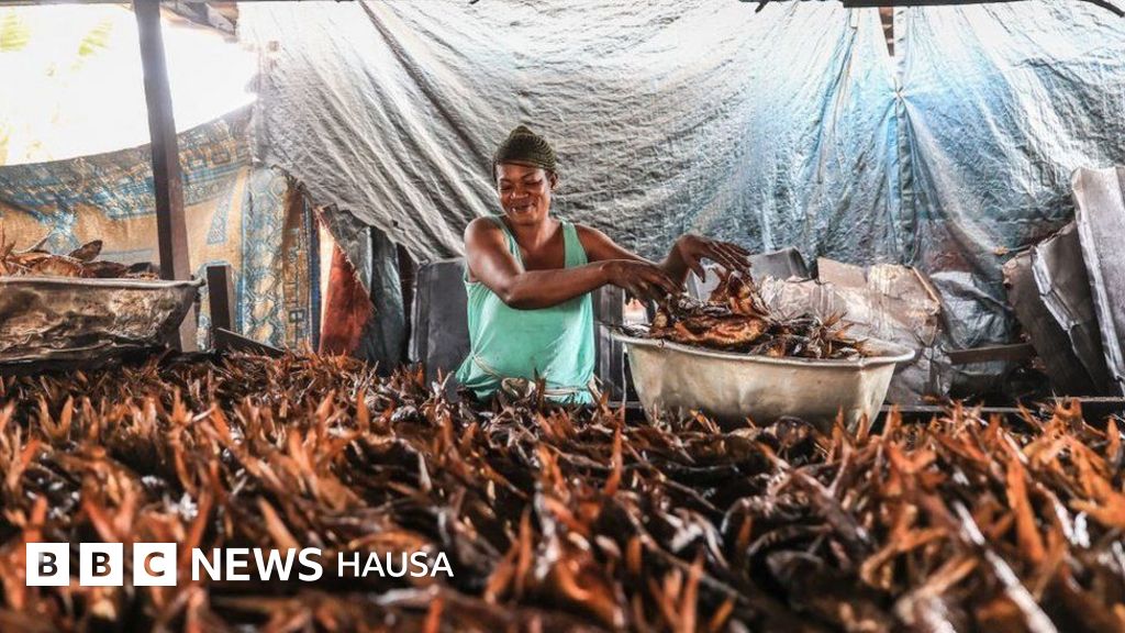 Kifi da wuta cikin hotunan Afirka - BBC News Hausa