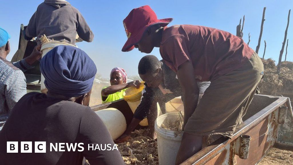 Rashin abinci ya sa ƴan Zimbabwe tunanin ko dawa da gero na iya maye ...
