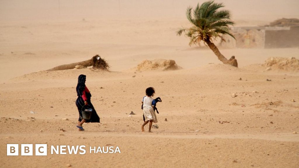 Amsar tambayoyinku kan Hamadar Sahara - BBC News Hausa