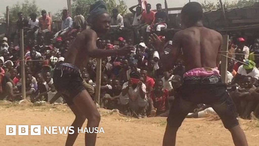 Shagon Shagon Lawwali ya buge Dan Sama'ila - BBC News Hausa