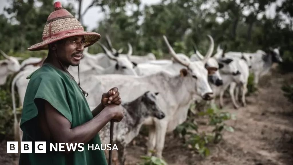 Fulani na cikin tashin hankali a kudancin Kaduna - Ruebe Fulbe - BBC ...