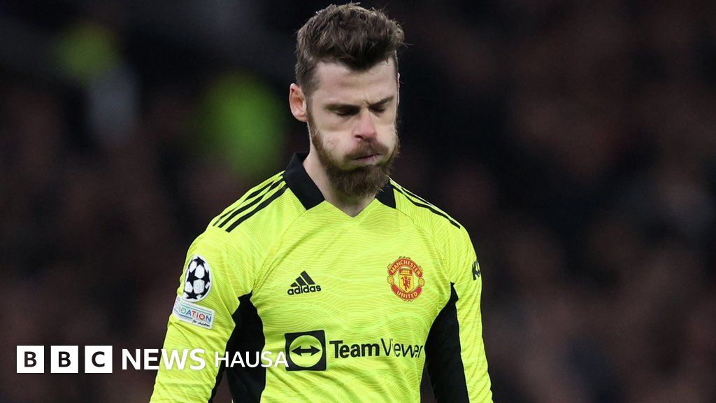 David de Gea: Mun dade rabon da Manchester United ta lashe kofi - BBC ...