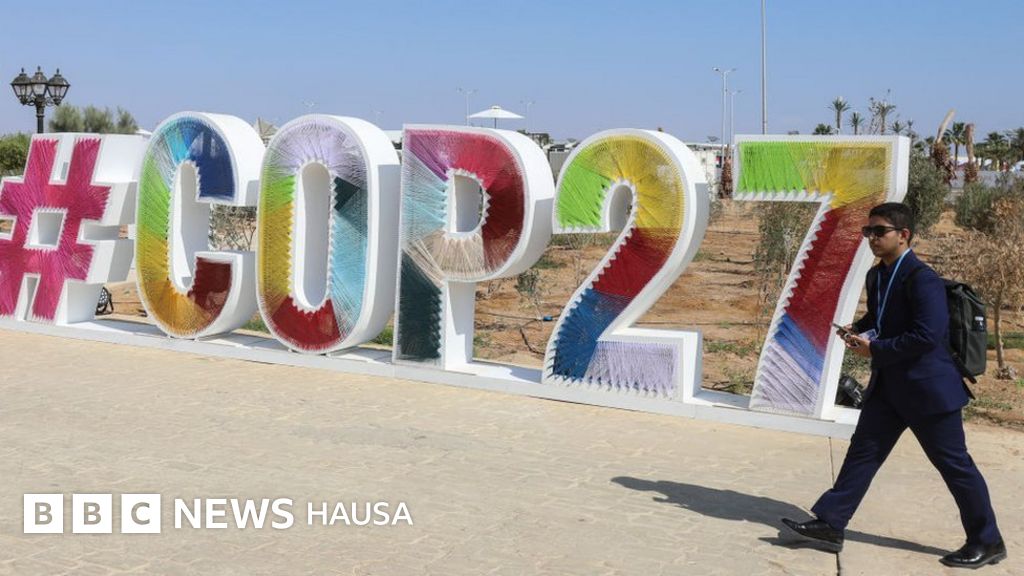 COP 27 : Dalilin da ya sa yarjejeniyoyin da aka cimma kan sauyin yanayi ba su yi tasiri ba - BBC ...
