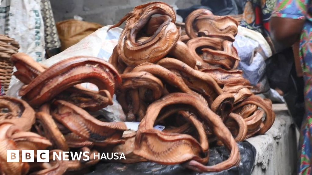 'Naman maciji ya fi na kaza dadi' - BBC News Hausa