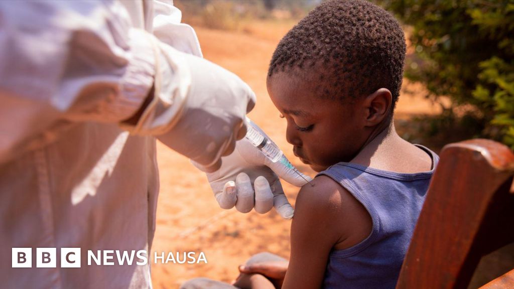 Mece ce cutar Mashako, kuma ya ya alamominta suke? - BBC News Hausa