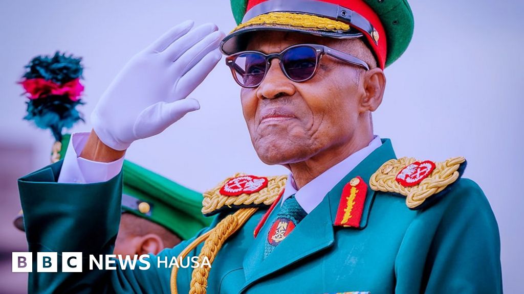 Abin da masana ke cewa a kan bugun ƙirjin Buhari na ɗaukar sojoji ...