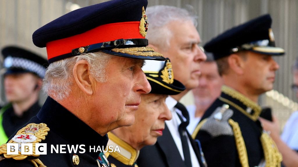 Mene ne aikin Sarkin Ingila kuma su wane ne iyalin masarautar? - BBC ...