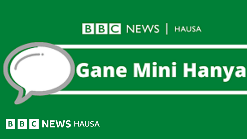 Gane Mini Hanya: Bikin cikar Gidauniyar McArthur shekara 30 - BBC News Hausa