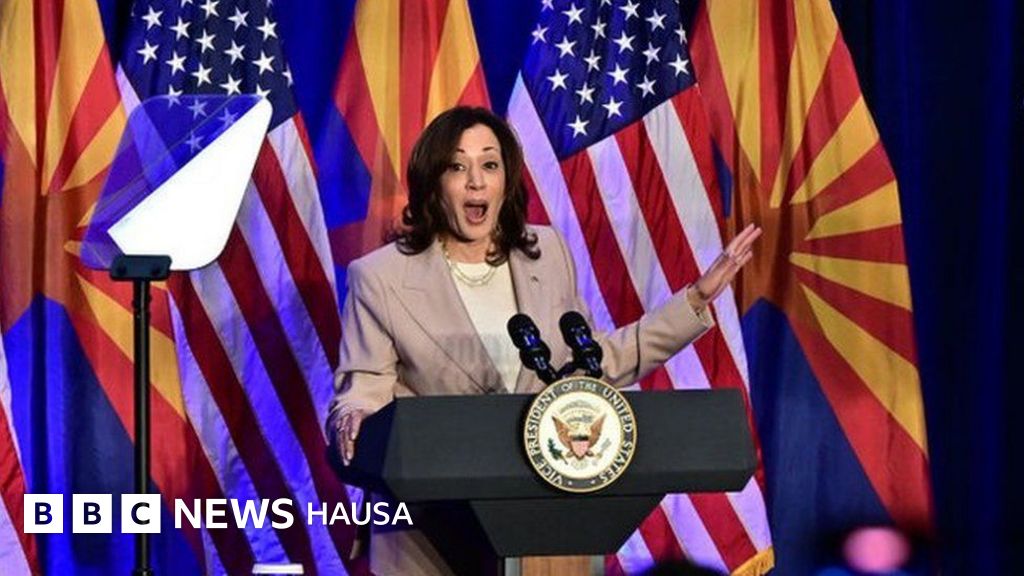 Kamala Harris: Mataimakiyar shugaban Amurka da wasu ke ganin za ta maye ...