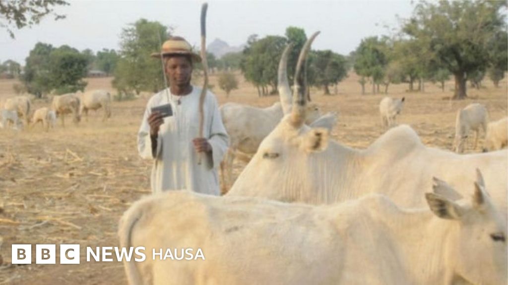 Amurka na sasanta manoma da makiyaya a Nigeria - BBC News Hausa