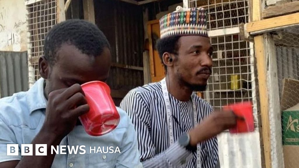 Bidiyo: Yayin shan shayin goruba ya ɓulla a Kano - BBC News Hausa