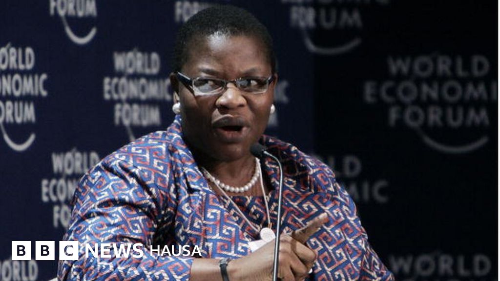 Saura kwana 27 zaben 2019: Bayani kan 'yar takara Obiageli Ezekwesili # ...