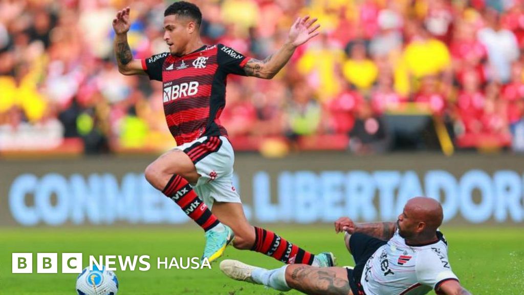 Wolves - BBC News Hausa