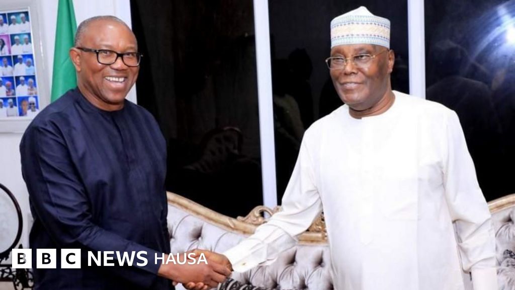 Jam'iyyun adawa na kara kaimi wajen neman wanda zai kalubalanci Tinubu ...