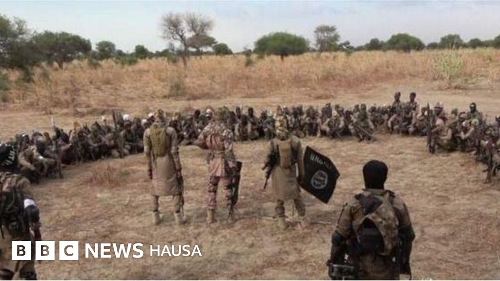Yunwa na cikin dalilan da suka sa mayakan Boko haram ke mika wuya - BBC News Hausa