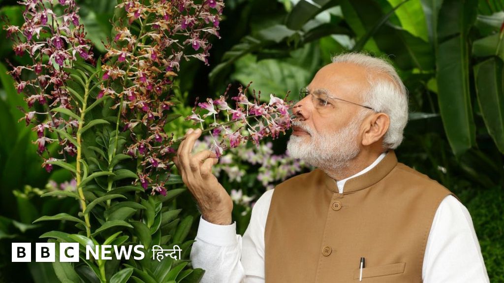 सोशल: 'चूल्हा जलई ले नाले से पिया, नाला मा बड़ी आग है' - BBC News हिंदी