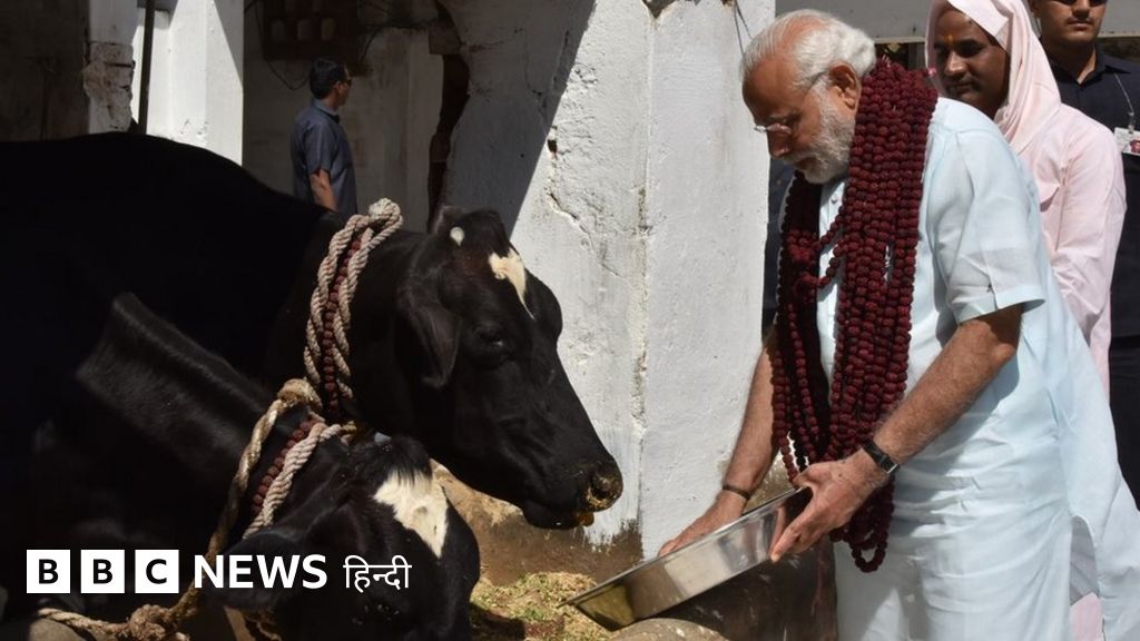 कौन हैं 'गोरक्षक', क्यों करते हैं वो 'गोरक्षा' - BBC News हिंदी