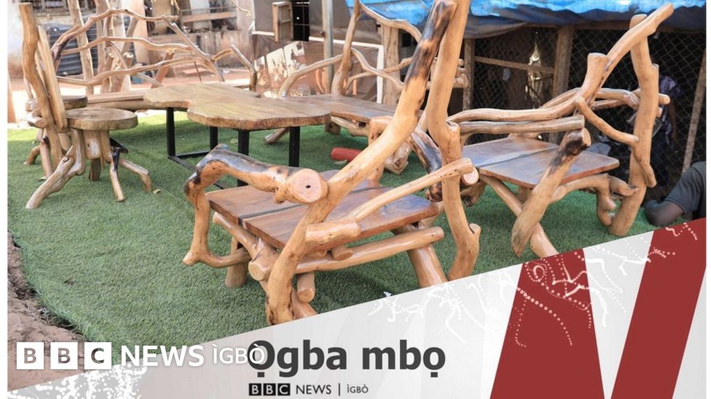 Ọgba Mbọ: Eji m osisi dịka nkụ arụpụta ihe ọgbara igbo gharịị - Samson Ejiofor - BBC News Ìgbò