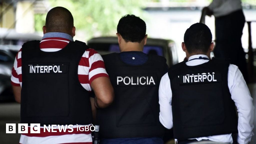 Nnamdi Kanu: Ihe ndị kwesịrị ịma maka ndị uweojii 'Interpol' a sị nyere ...