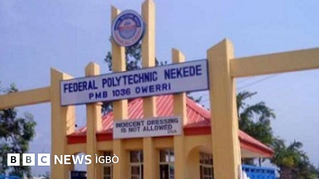 Nekede Students' Protest: Ndị EFCC, SARS na-emekpa anyị ahụ - BBC News Ìgbò