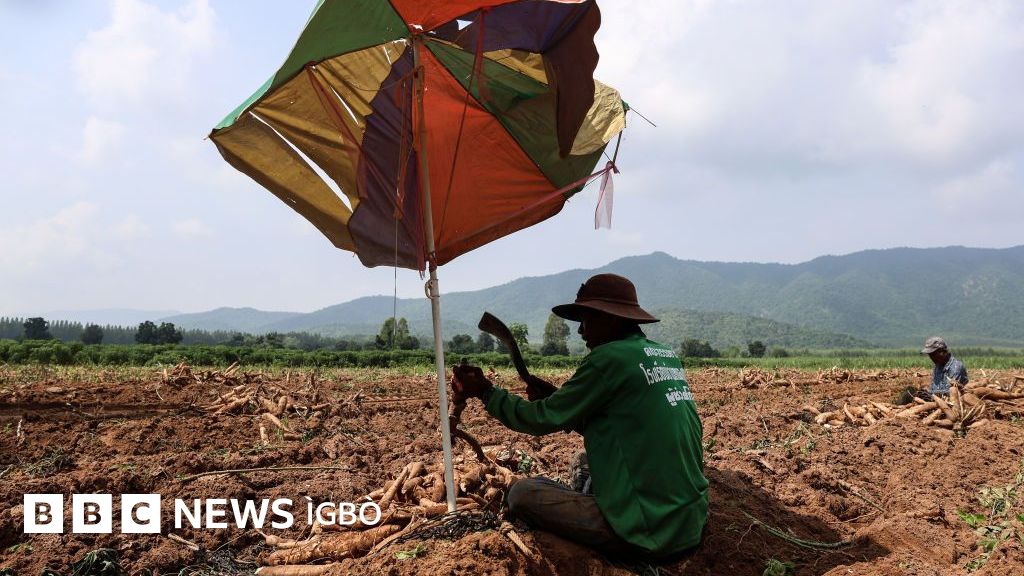 Ọrịa ndị oke 'heat' na-ebute na etu ị ga-esi chekwa onwe gị - BBC News Ìgbò