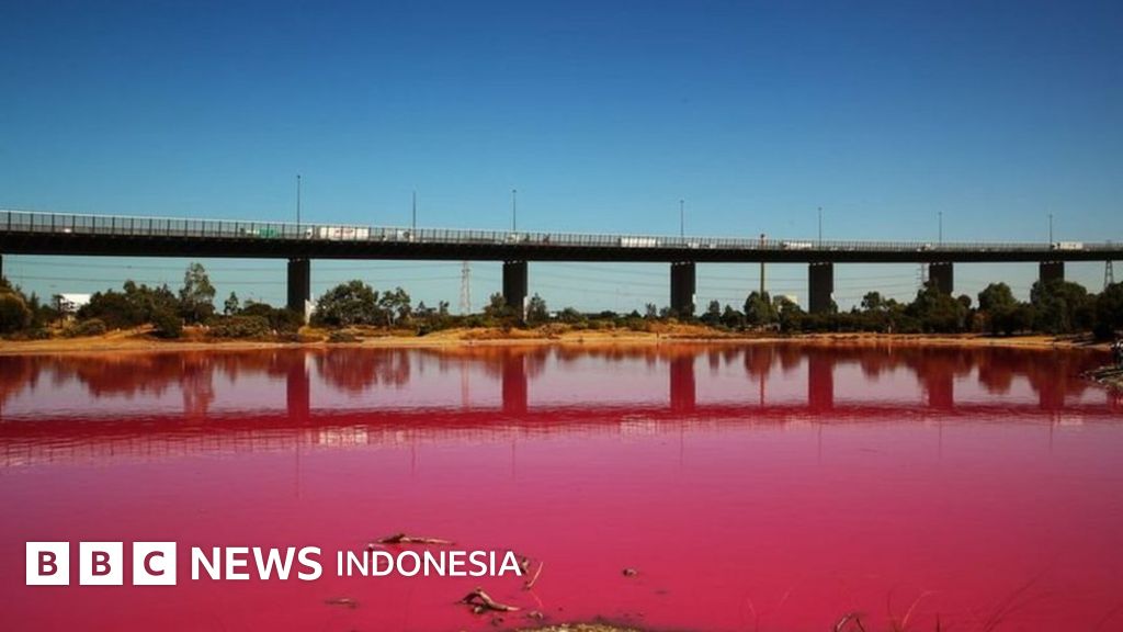 Galeri foto: Danau berwarna merah muda alami di Melbourne yang menarik ...