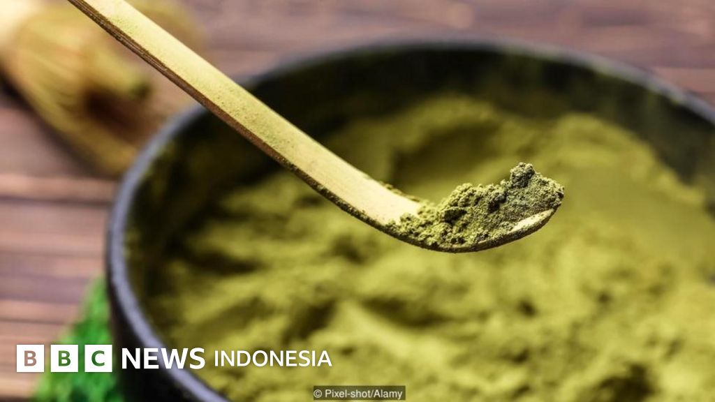 Di balik tren matcha yang mendunia, ada tradisi budidaya teh Jepang ...