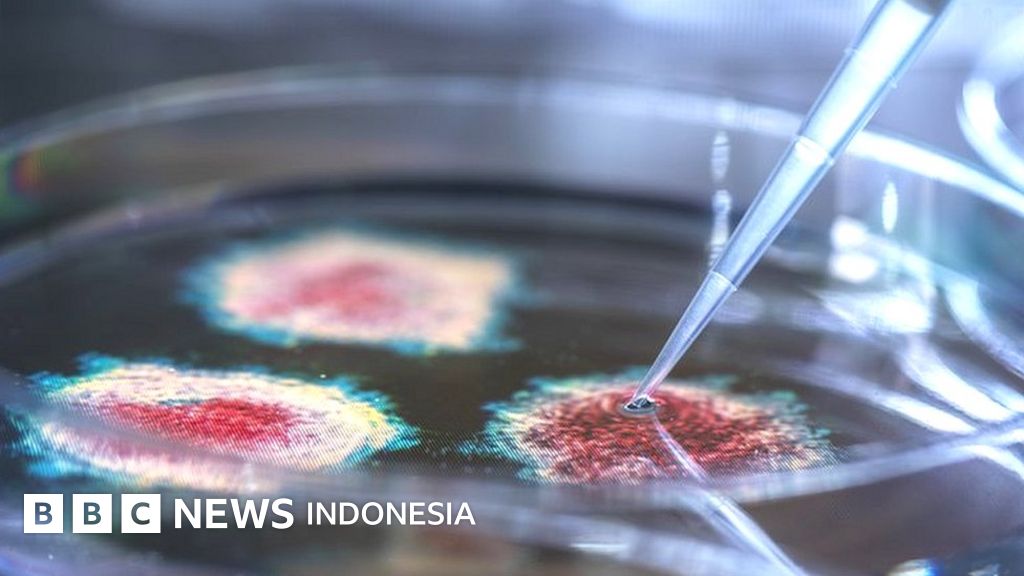 Kisah orang-orang yang tidak percaya virus dan kuman - Penyakit menular ...