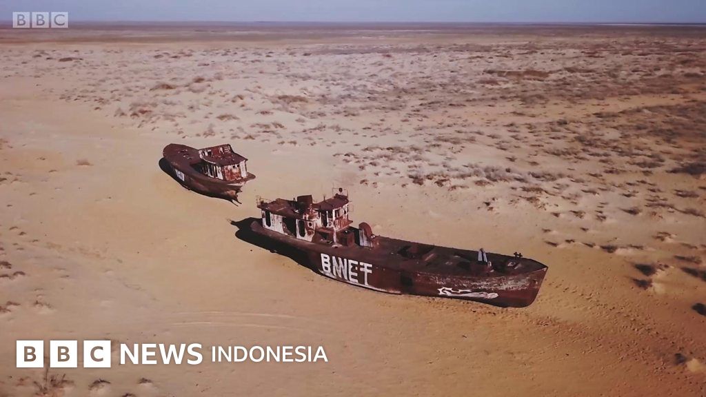Menanam hutan di dasar Laut Aral - BBC News Indonesia