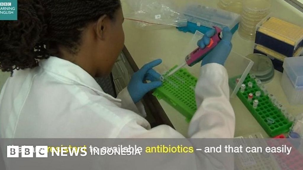 The Risks Of Meat Consumption Bbc News Indonesia