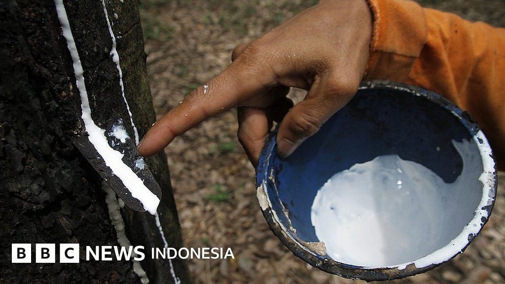Karet, material penting bagi dunia, terancam habis - BBC News Indonesia