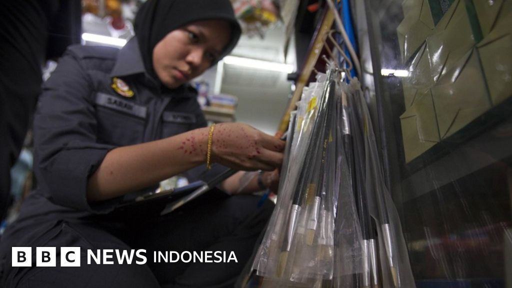 Kuas 'bulu babi' yang berlabel halal disita di Malaysia - BBC News ...