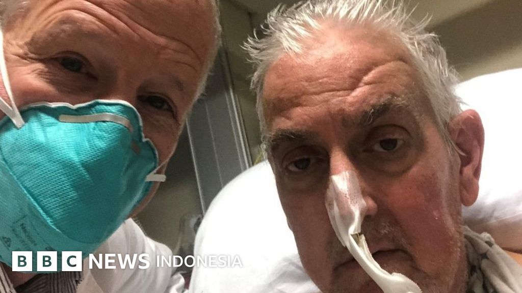 Cangkok organ babi ke manusia: Mungkinkah menjadi solusi atas ...