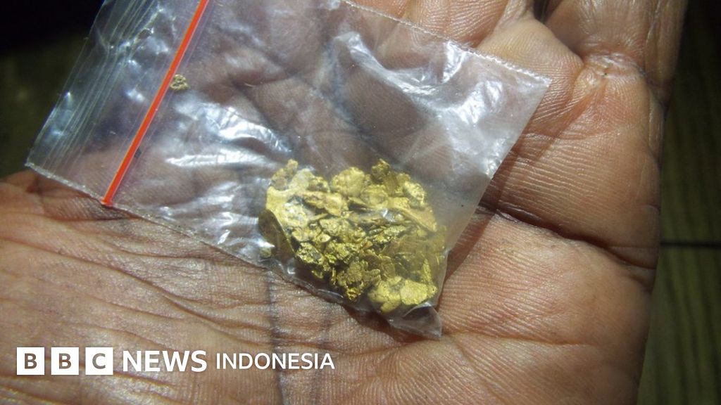 Tambang emas ilegal di pedalaman Papua: Mendulang dari derita Suku Korowai - BBC News Indonesia