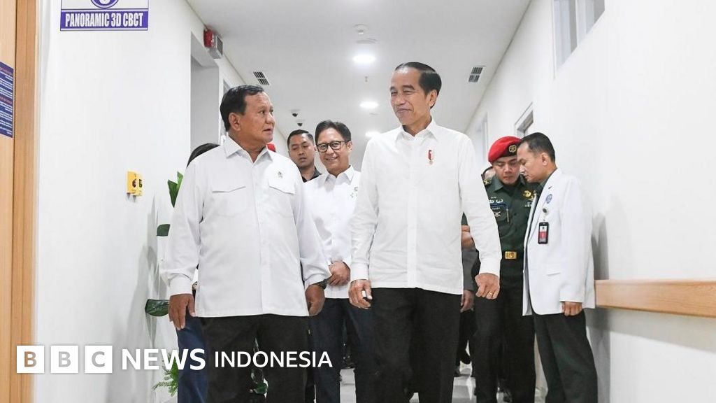 Parpol koalisi 2024: 'Politik gotong royong' Jokowi dikhawatirkan berujung pada 'pemerintahan ...