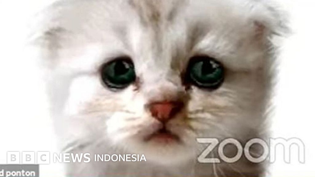 Video viral pengacara Texas jadi selebritas dalam 'hitungan jam ...