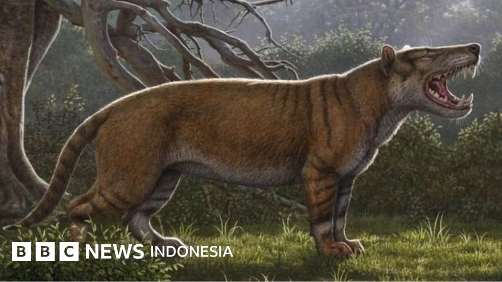 Fosil 'singa raksasa' ditemukan di laci sebuah museum di Kenya - BBC ...