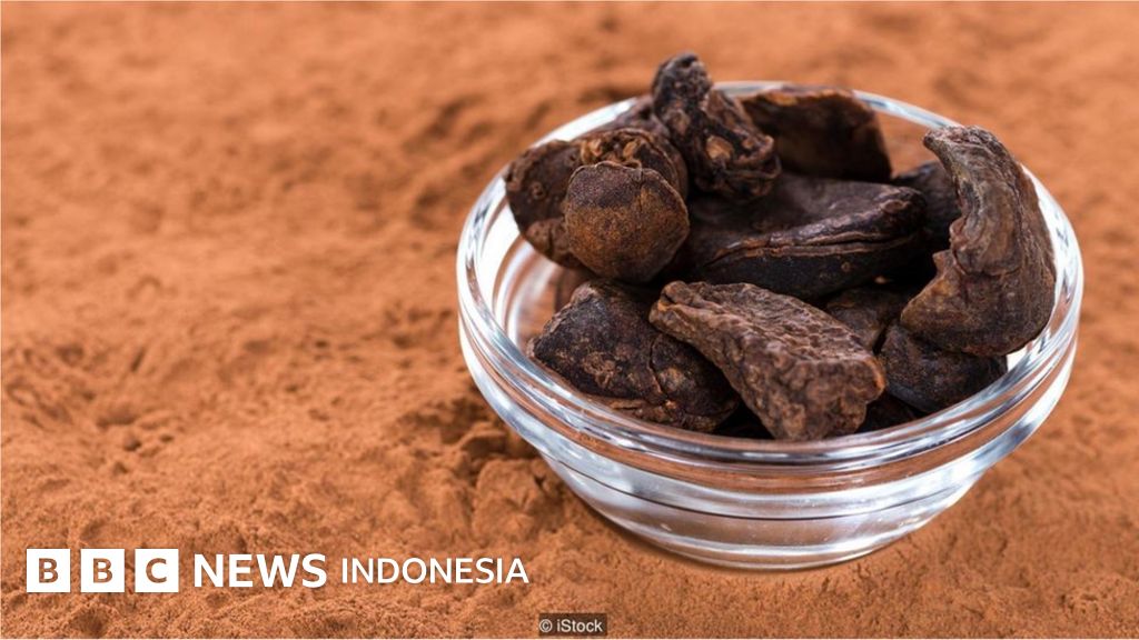 Kacang yang 'membangun' satu perusahaan raksasa di dunia - BBC News ...