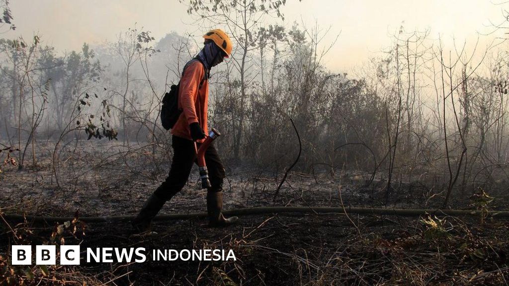 Karhutla kembali terjadi di hutan yang ditempati perusahaan – Apakah pemerintah serius ...