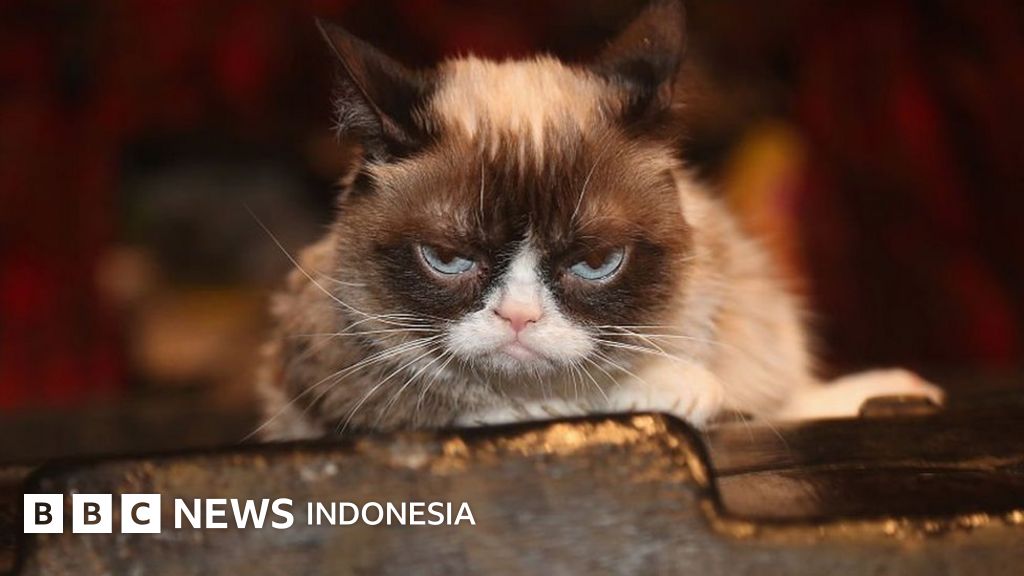 Hewan-hewan termahal di dunia: Dari bebek hingga panda raksasa - BBC ...