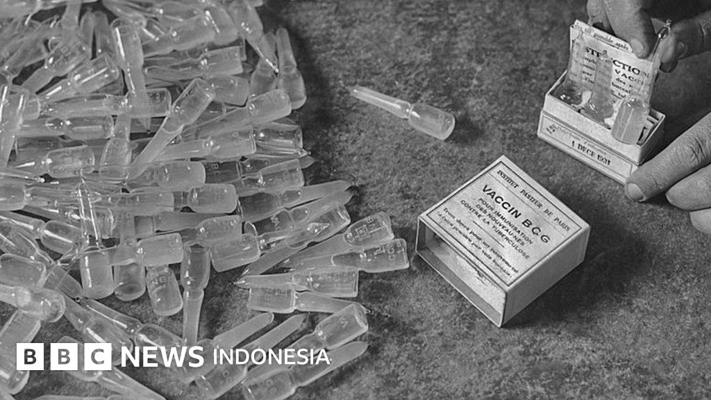 Covid 19 Dapatkah Vaksin Yang Dibuat Tahun 1921 Hentikan Pandemi Virus