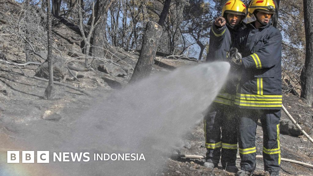 Kebakaran di Israel berhasil diatasi, Palestina membantu padamkan api ...