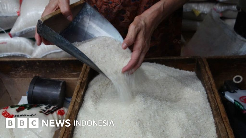 Beras plastik, sekedar rumor atau memang nyata? - BBC News Indonesia