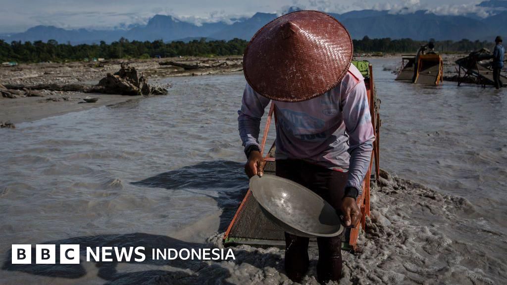 Papua: Pendulang emas berulang kali tewas di tengah konflik bersenjata Papua, siapa mereka dan ...