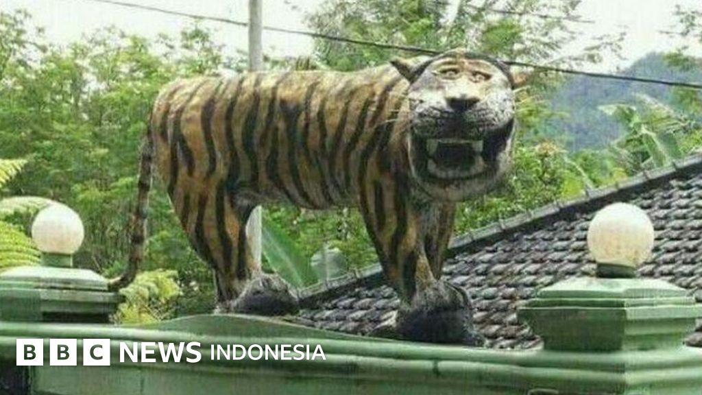 Internet menangisi 'matinya' macan lucu Cisewu - BBC News Indonesia