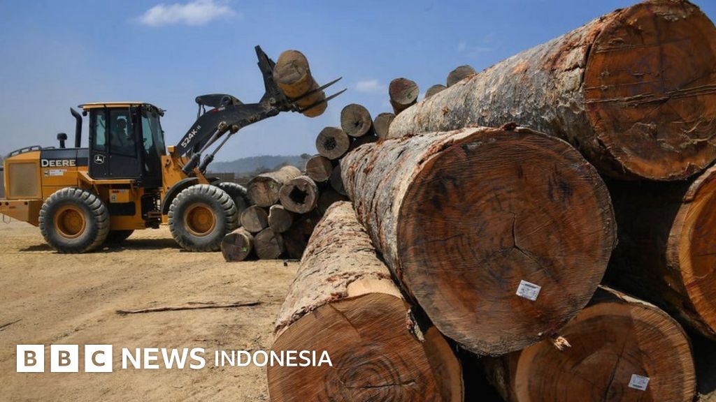 Deforestasi: Negara mana saja yang paling banyak membabat hutan? - BBC ...
