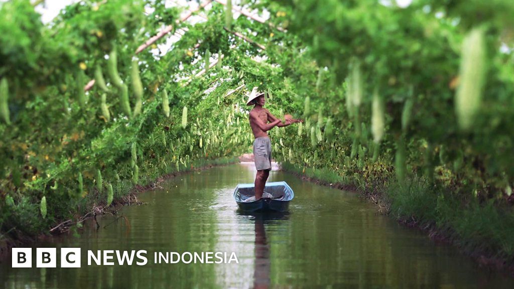 Hari pangan sedunia: Mereka yang kelaparan di lumbung padi - BBC News Indonesia