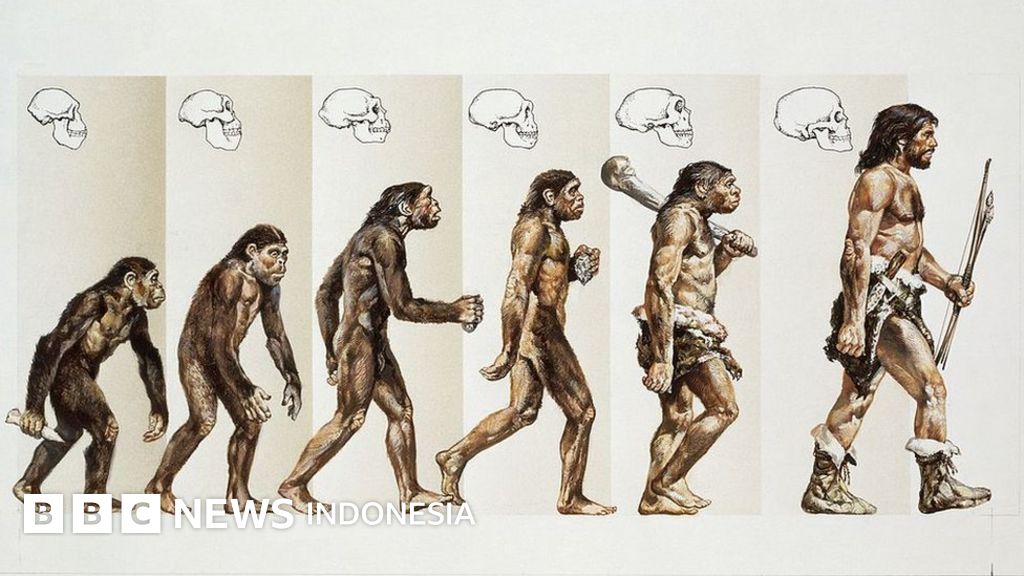 Manusia purba pernah teler karena obat halusinogen di Spanyol 3.000 ...