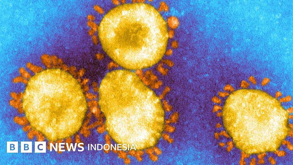 Covid-19: Varian baru virus corona ditemukan lagi di Inggris, 38 kasus telah muncul - BBC News ...