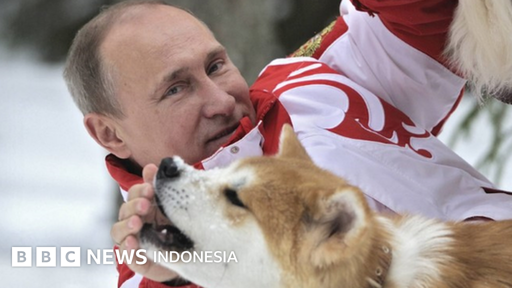 'Penggemar super' misterius Presiden Rusia Vladimir Putin di Facebook ...